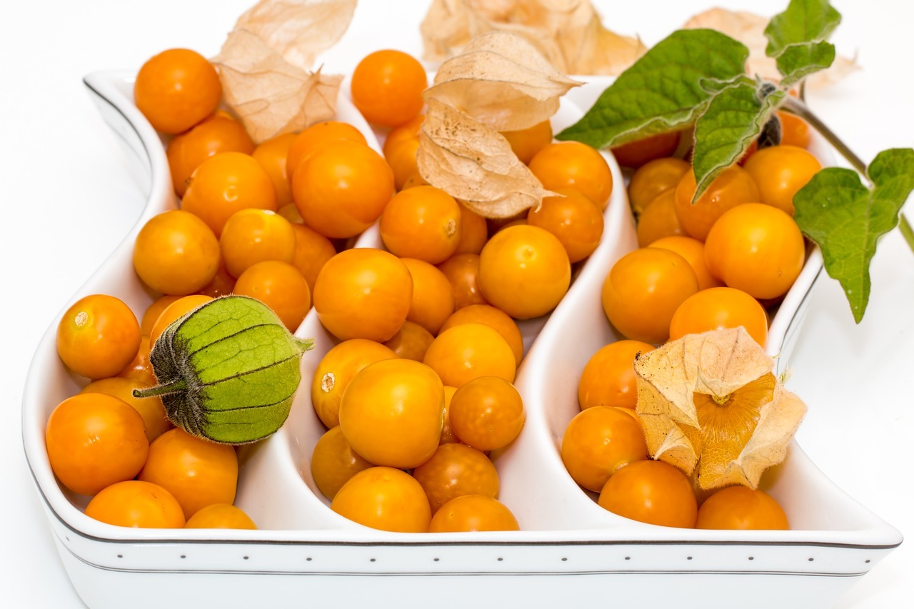 Le physalis, le fruit de la passion pour mettre l’amour en cage.